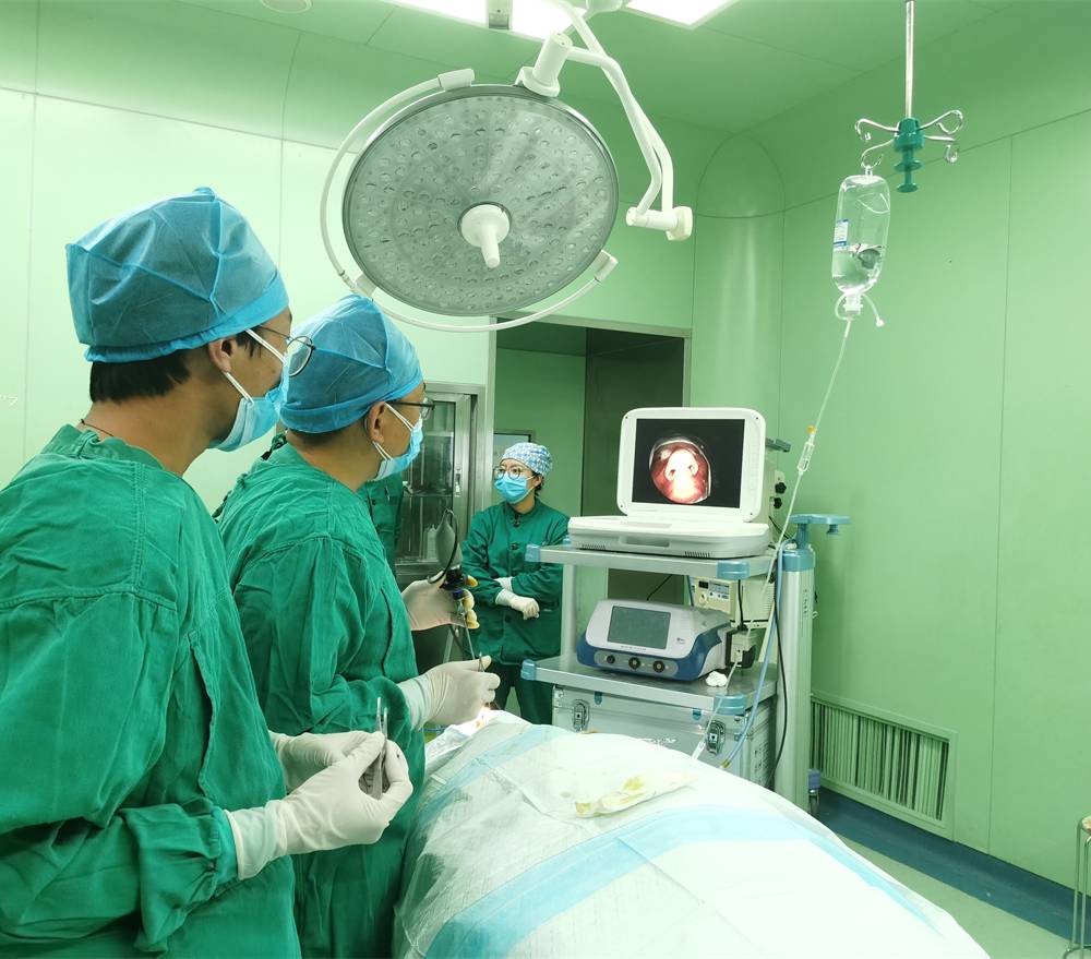 Advanced ENT Endoscopy Solutions | Precision & Clarity