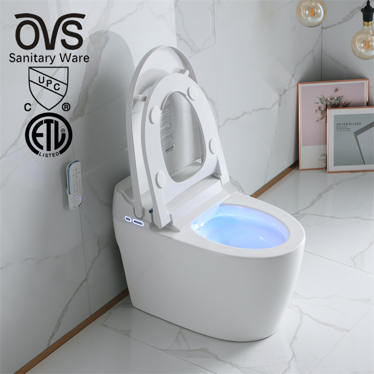 China Manufacturer Ceramic Water Closet Intelligent Toilet Smart Toilet