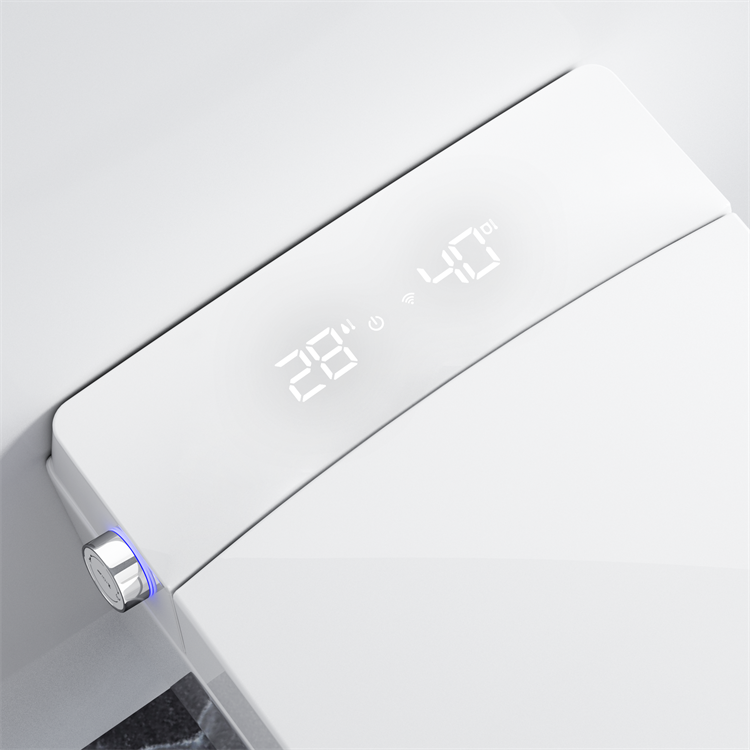 Intelligent WC Elongated Bathroom Water Closet Intelligent Valve Smart ...