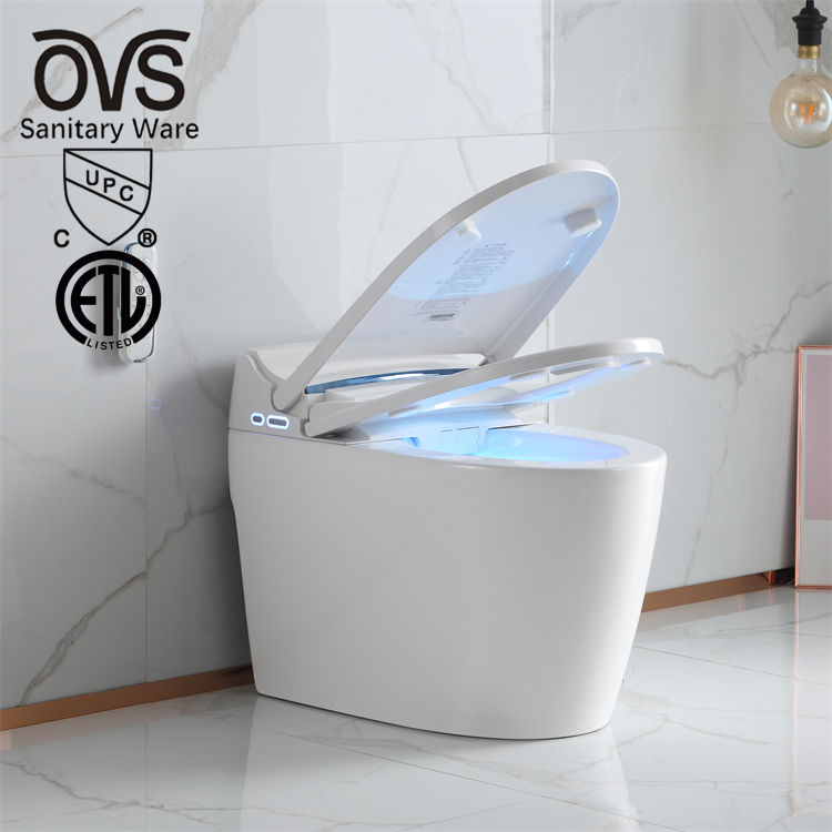 China Manufacturer Ceramic Water Closet Intelligent Toilet Smart Toilet